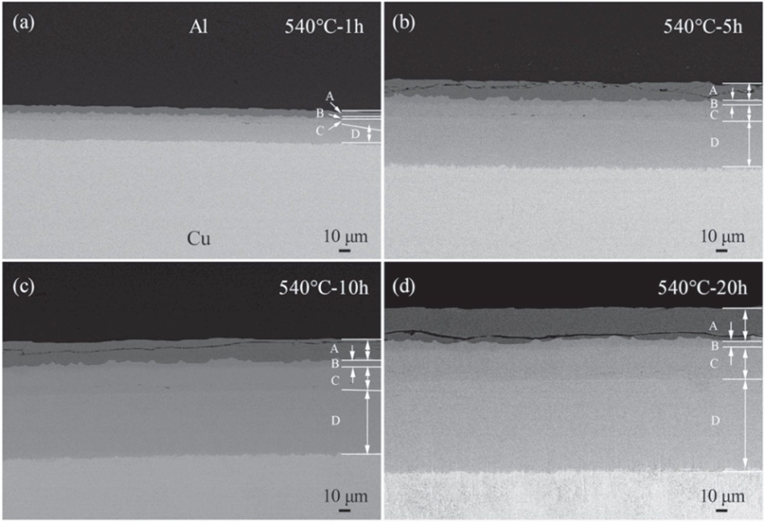 The formation and growth of intermetallic compounds during ...