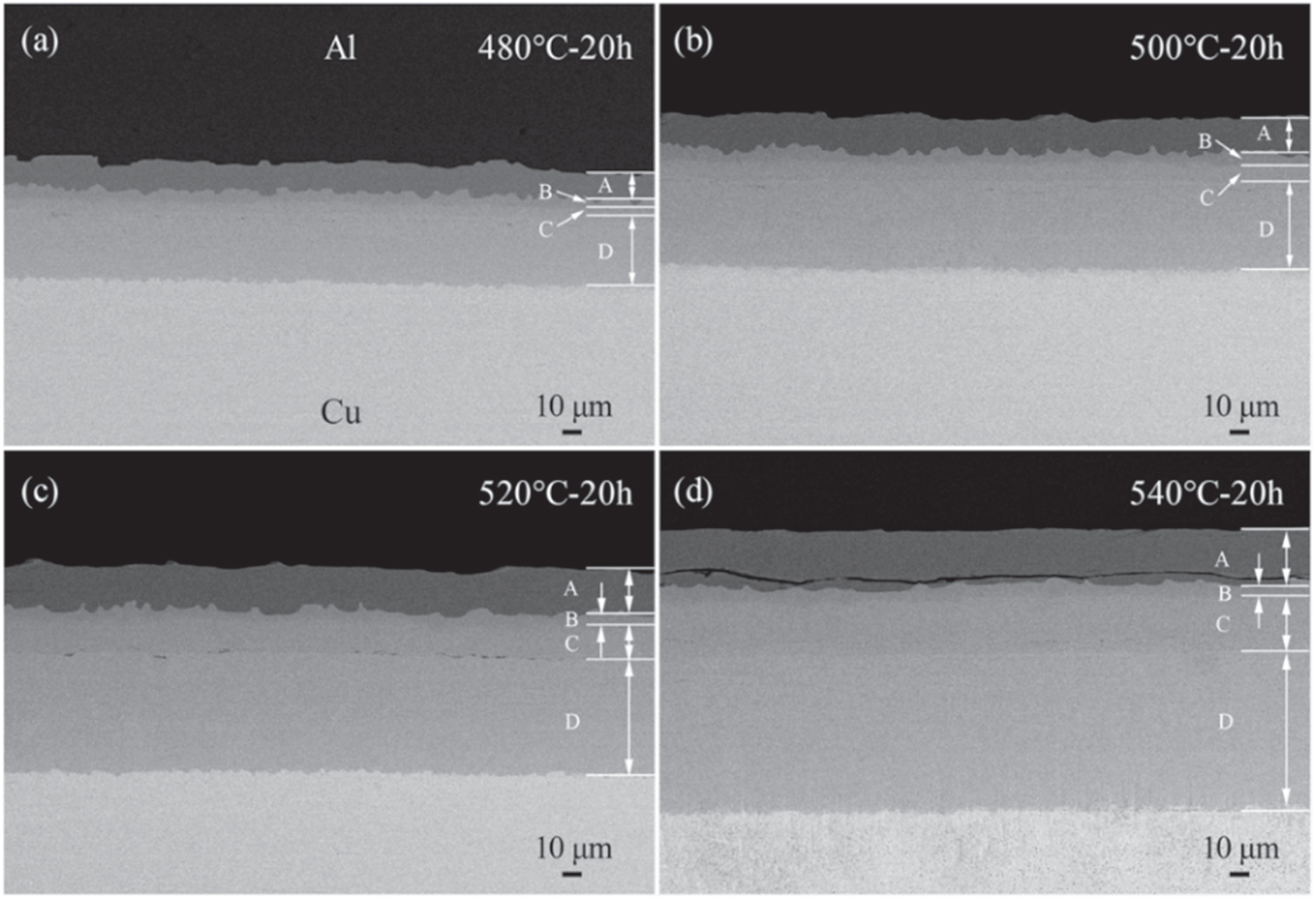 The formation and growth of intermetallic compounds during ...