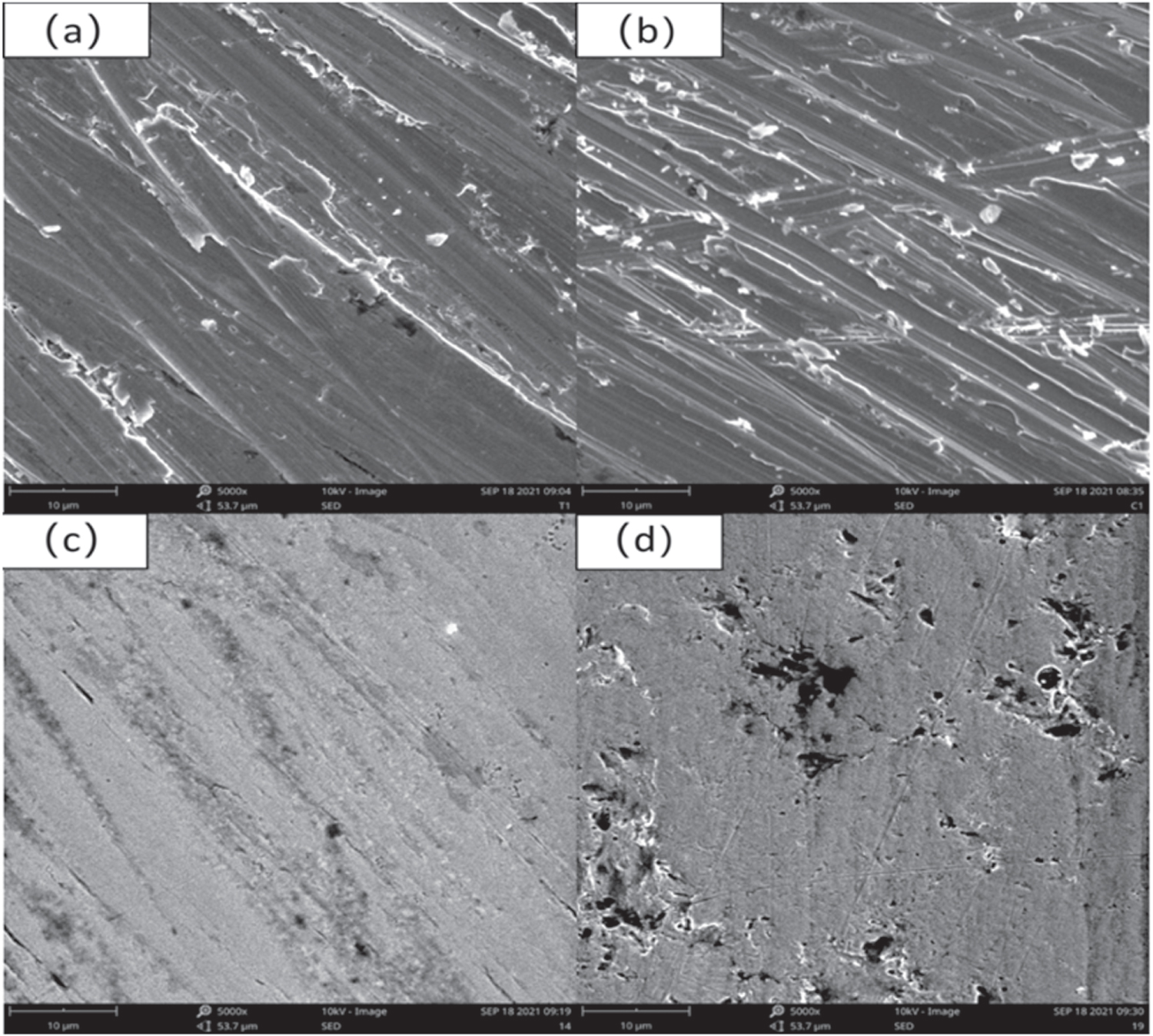 Effect of ultrasonic rolling on the surface integrity and corrosion properties of GCr15 steel ...