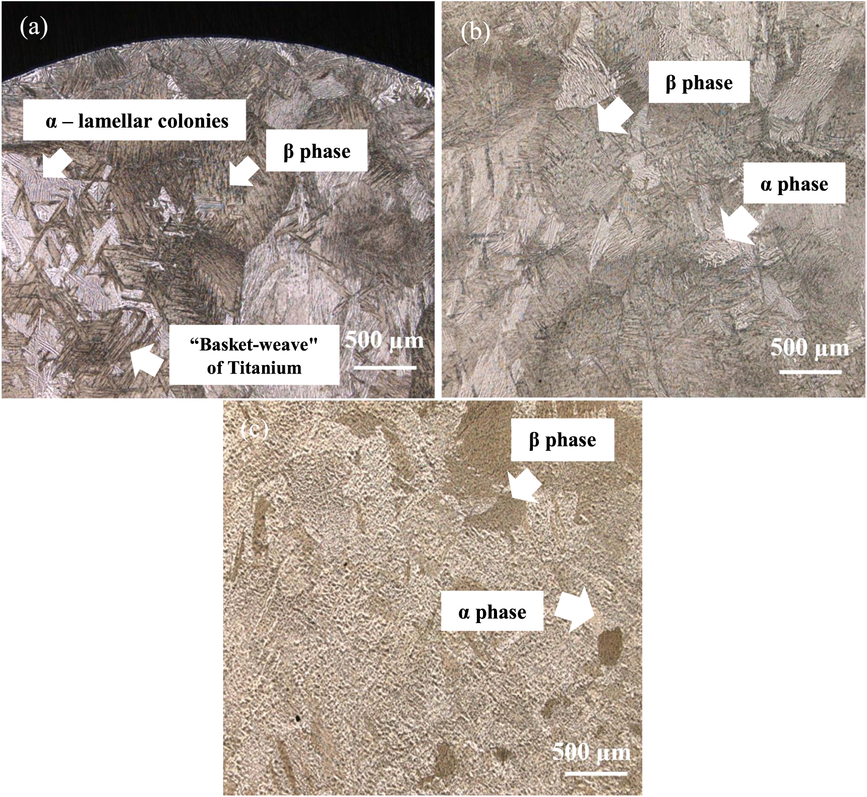 Experimental investigation of hot-wire laser deposition for the ...