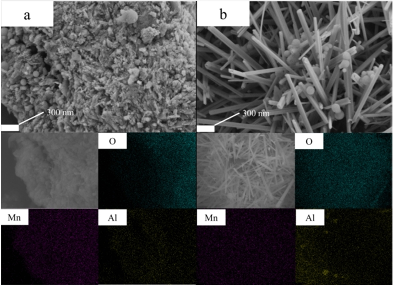 Effect of MnO2 morphology on the thermal properties and combustion ...