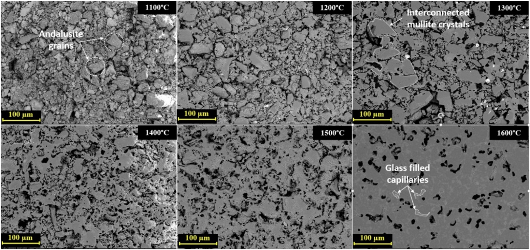 Characterization of a chiastolite-type andalusite: structure and ...