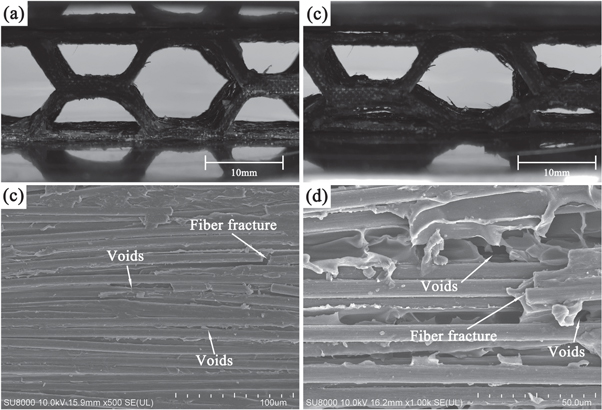 Compression performance and analytical model of hexagonal-core sandwich ...