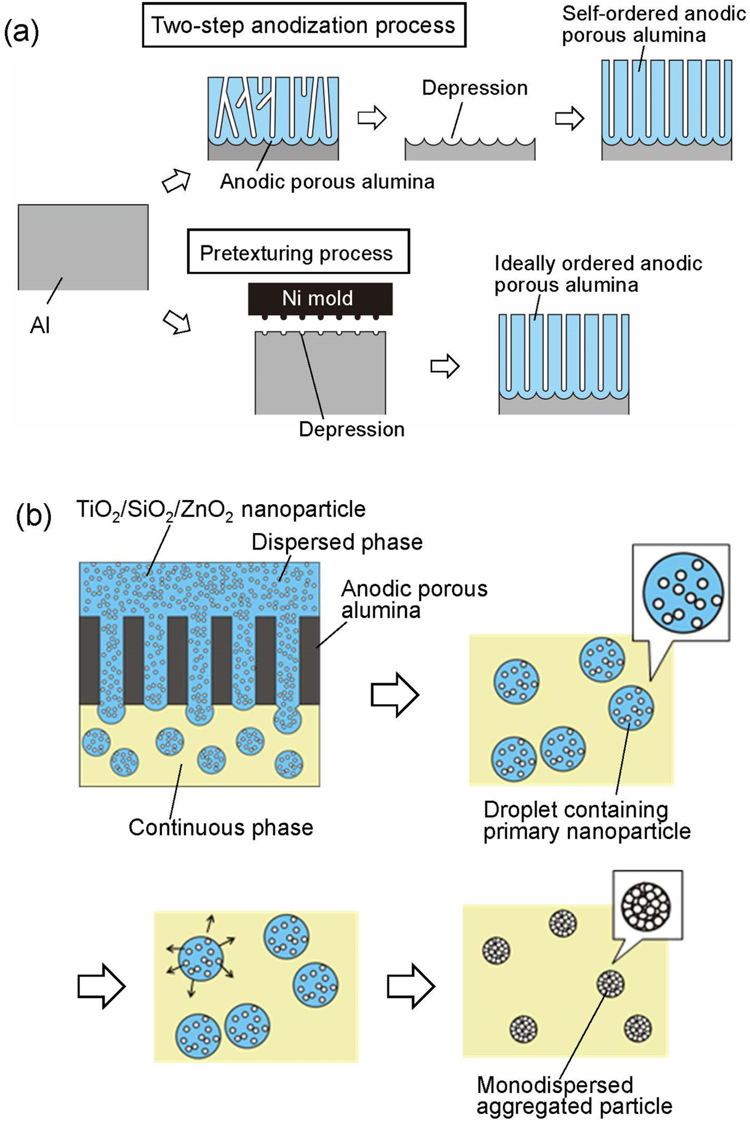 Dependence of size distribution of nanoparticles on hole size ...
