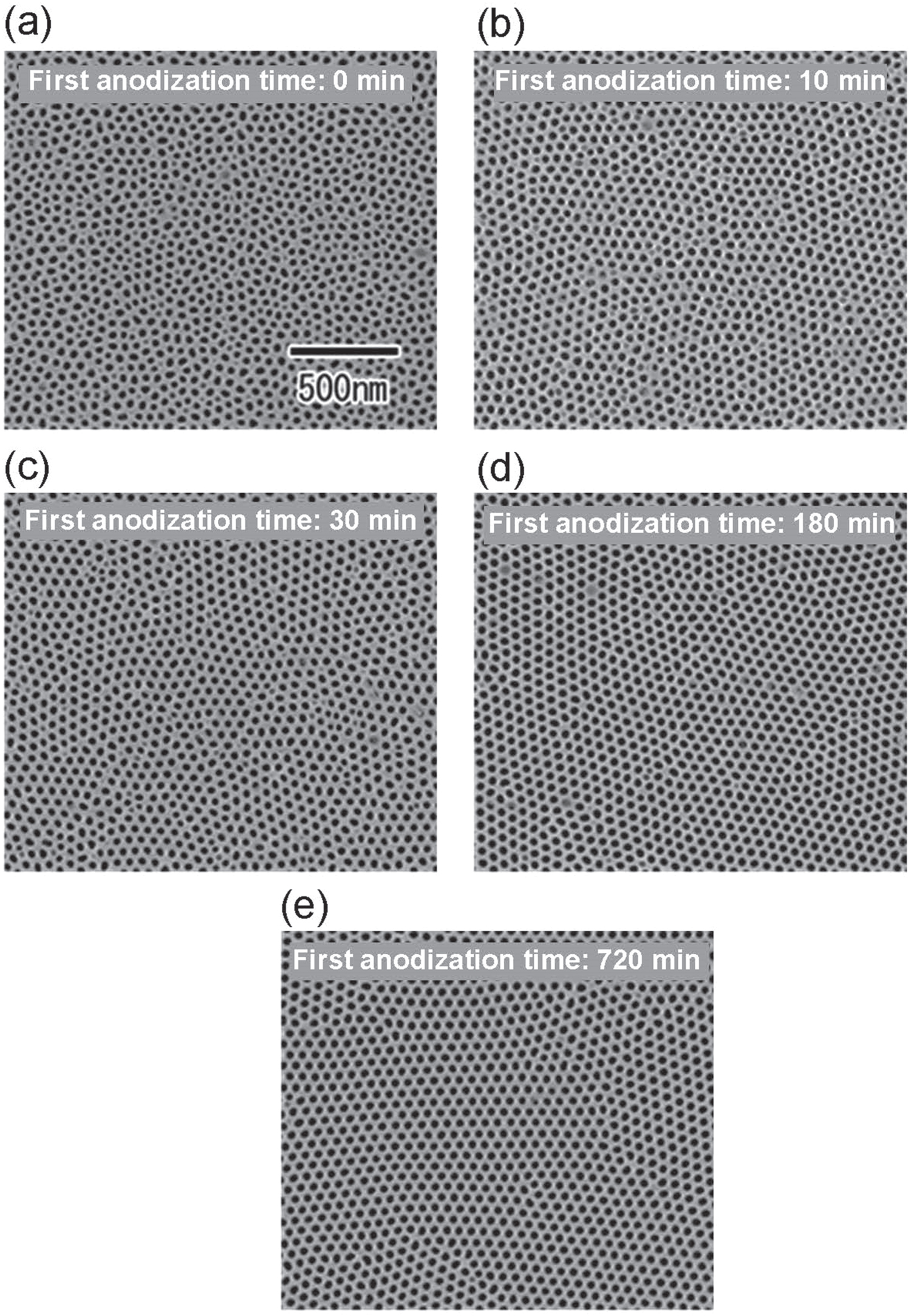 Dependence of size distribution of nanoparticles on hole size ...