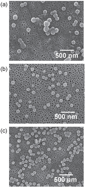 Dependence of size distribution of nanoparticles on hole size ...