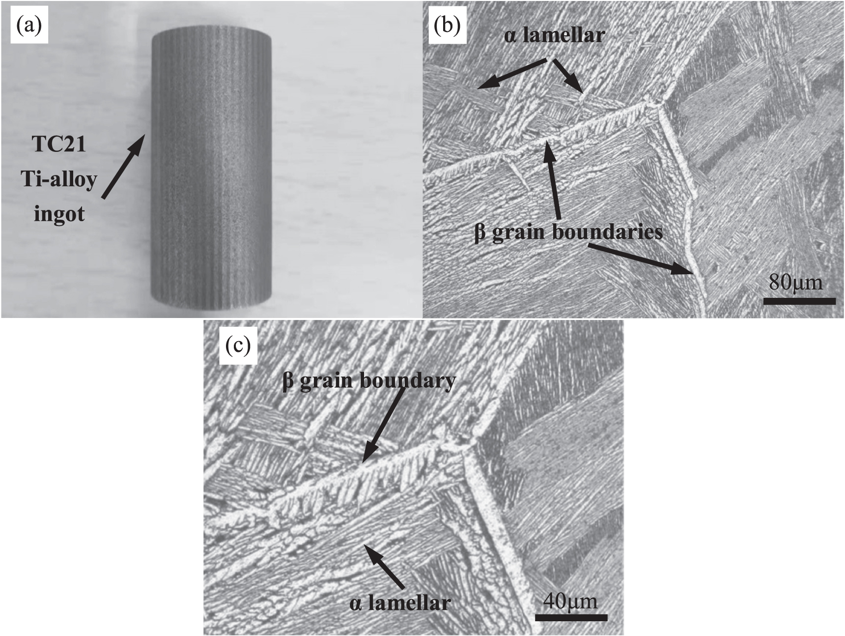 Experimental study and numerical simulation of α lamellar ...