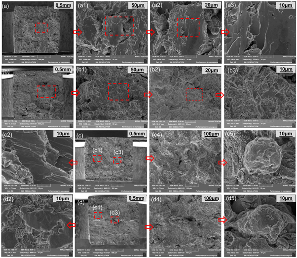 Effects of magnesium on microstructure, properties and degradation ...