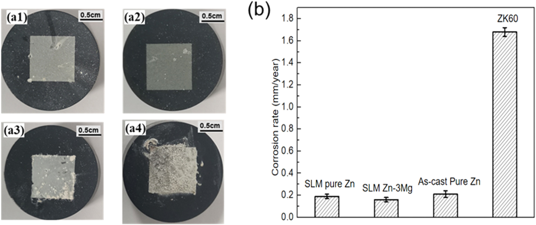 Effects of magnesium on microstructure, properties and degradation ...