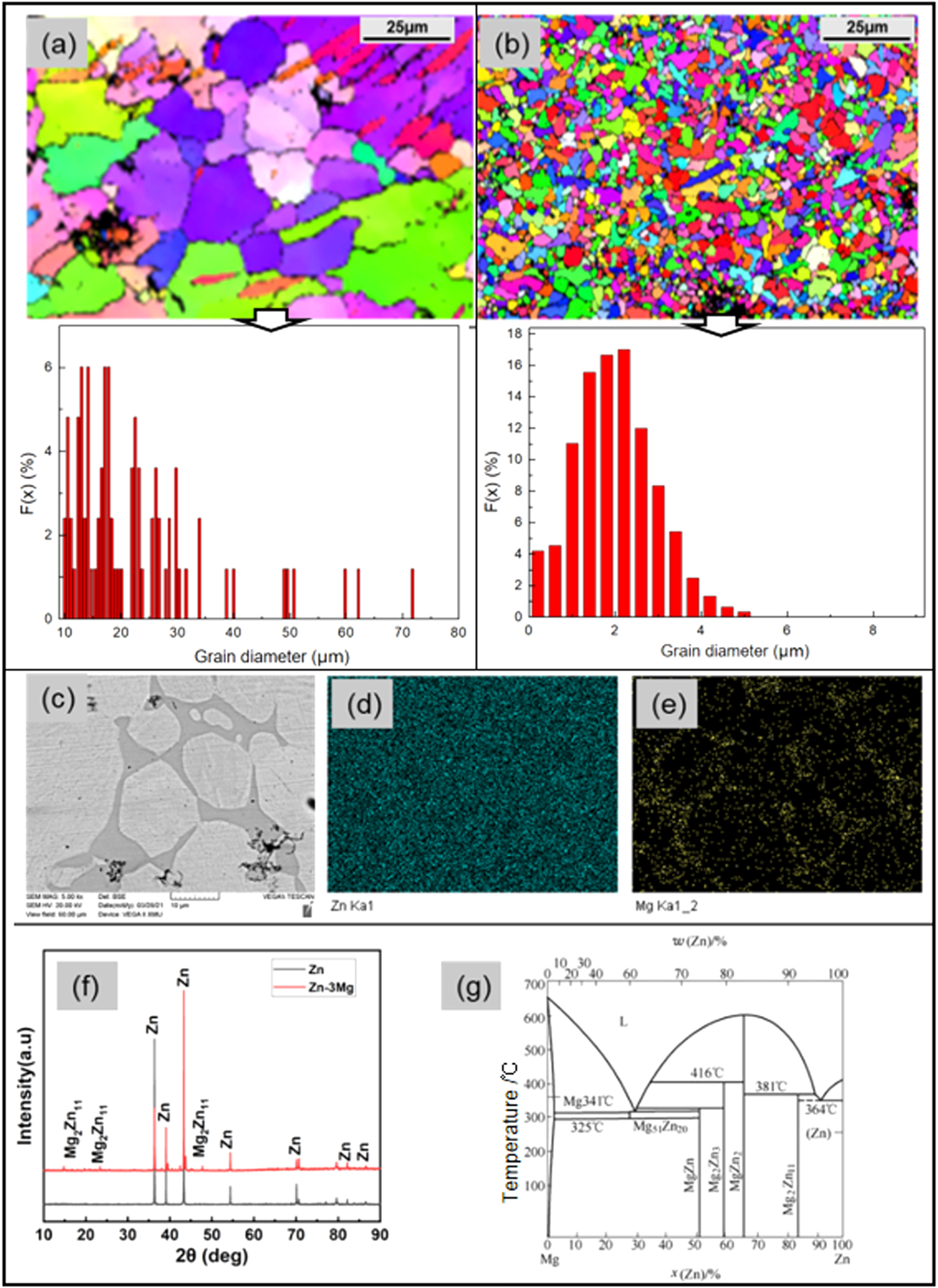 Effects of magnesium on microstructure, properties and degradation ...