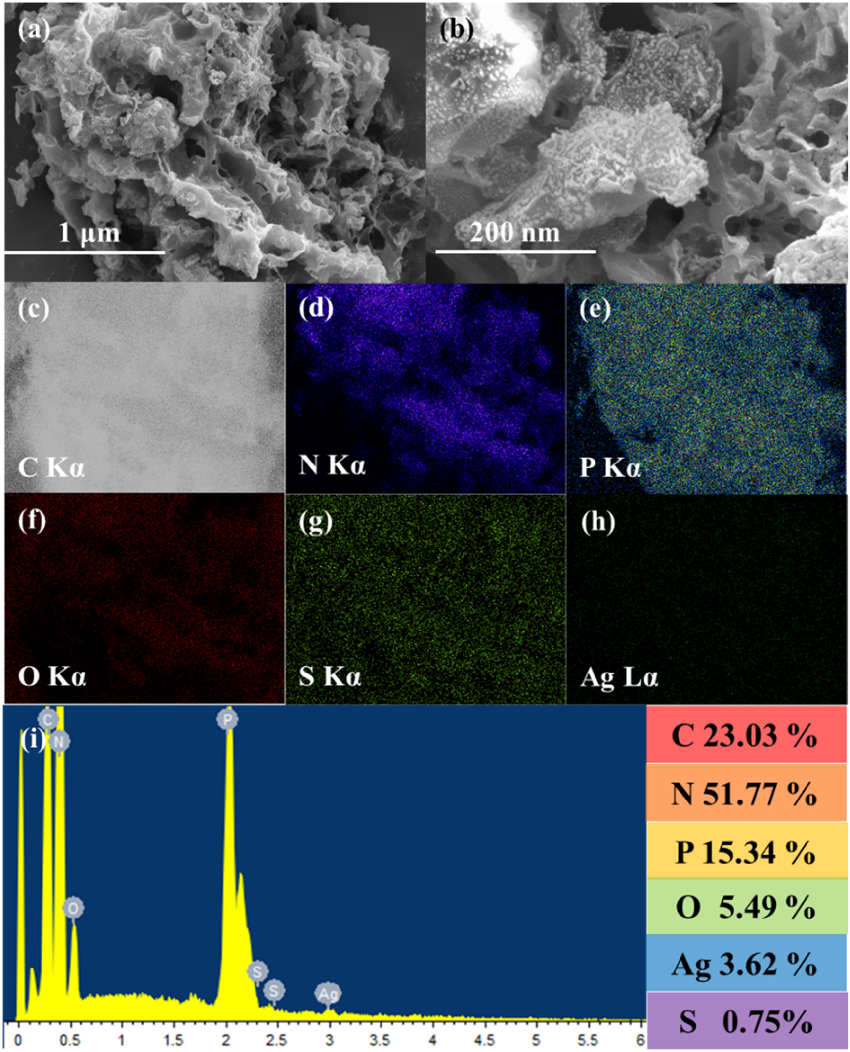 Ag2S nanoparticles anchored on P-doped g-C3N4: a novel 0D/2D p-n 2 ...