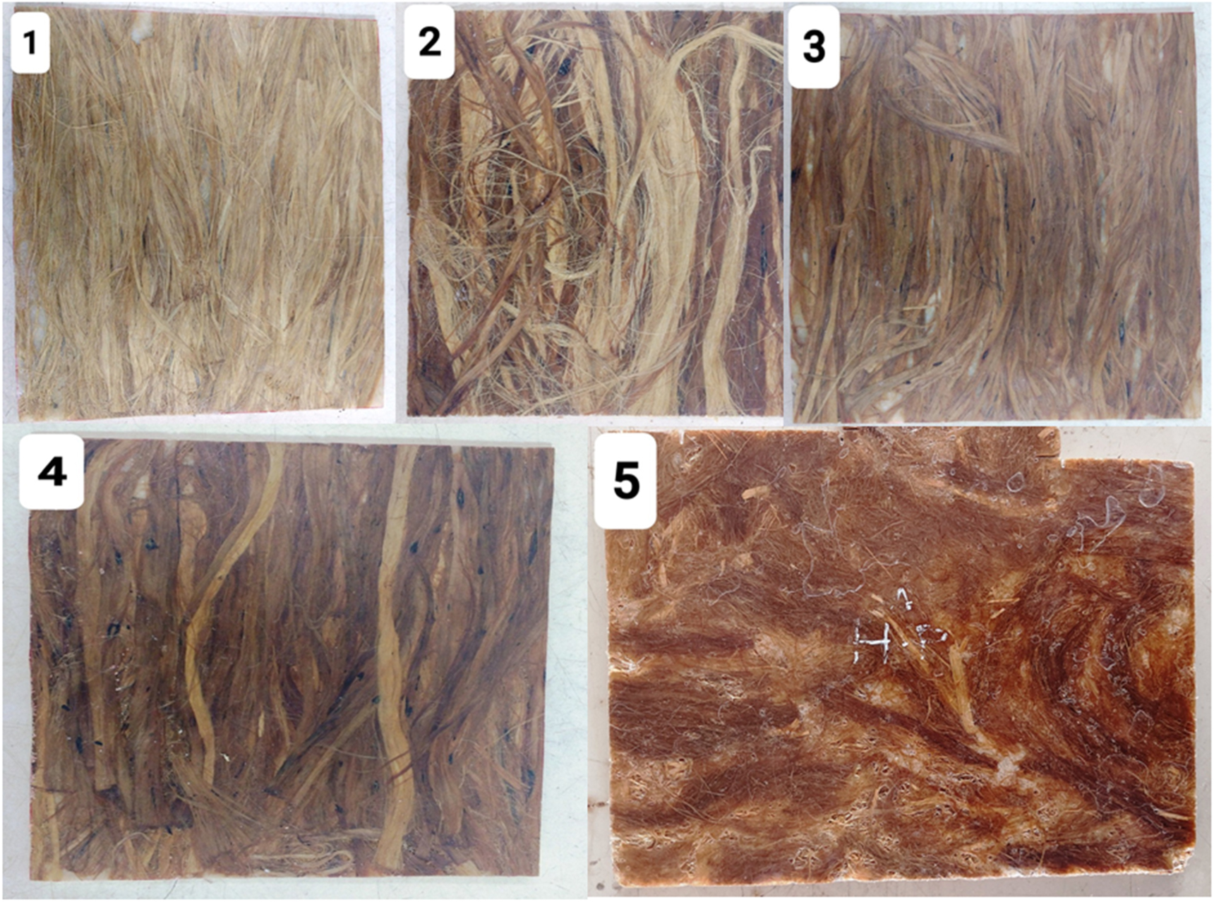 Experimental investigation on jute/snake grass/kenaf fiber reinforced ...