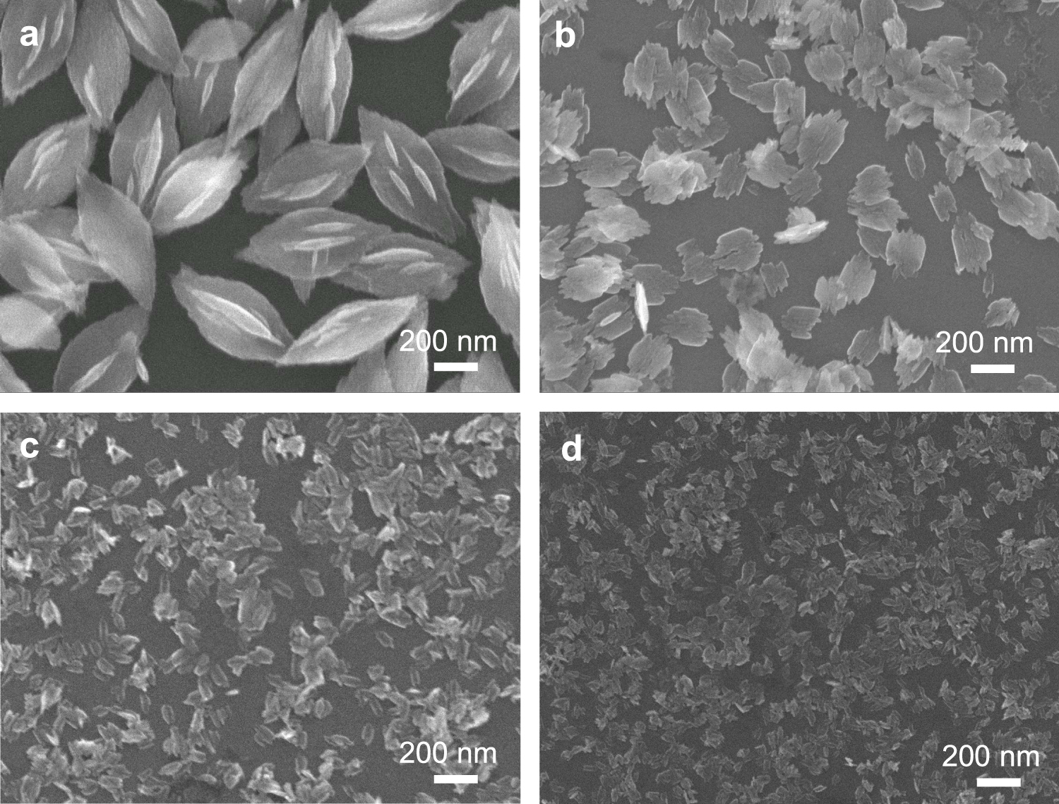 Controlled morphological synthesis of temperature-dependent CuO ...