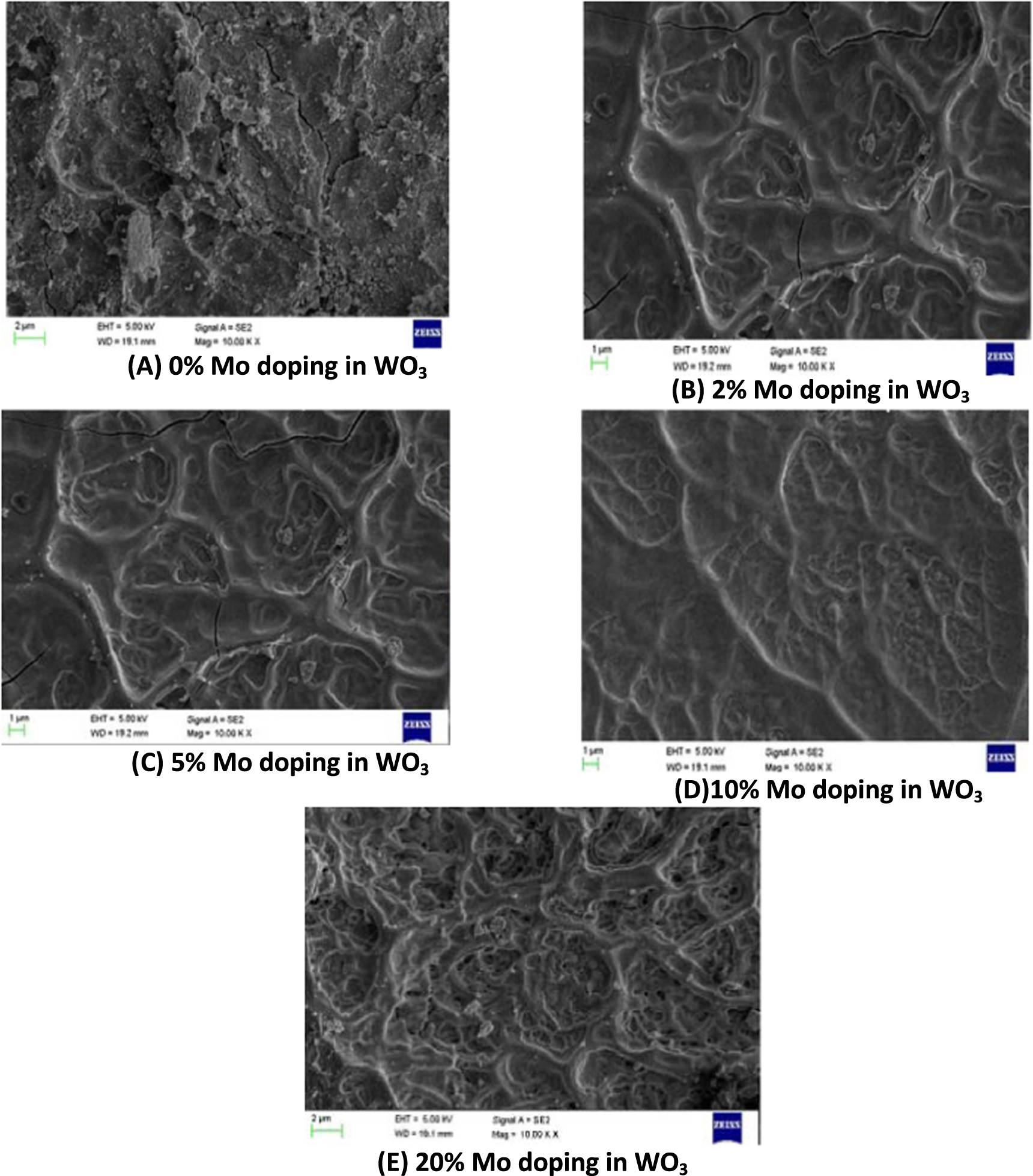 Influence of Mo+2 ion concentration on crystallization, microstructure ...