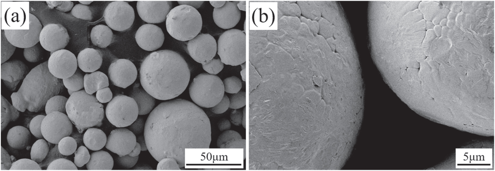 Twinning behavior in deformation of SLM 316L stainless steel - IOPscience