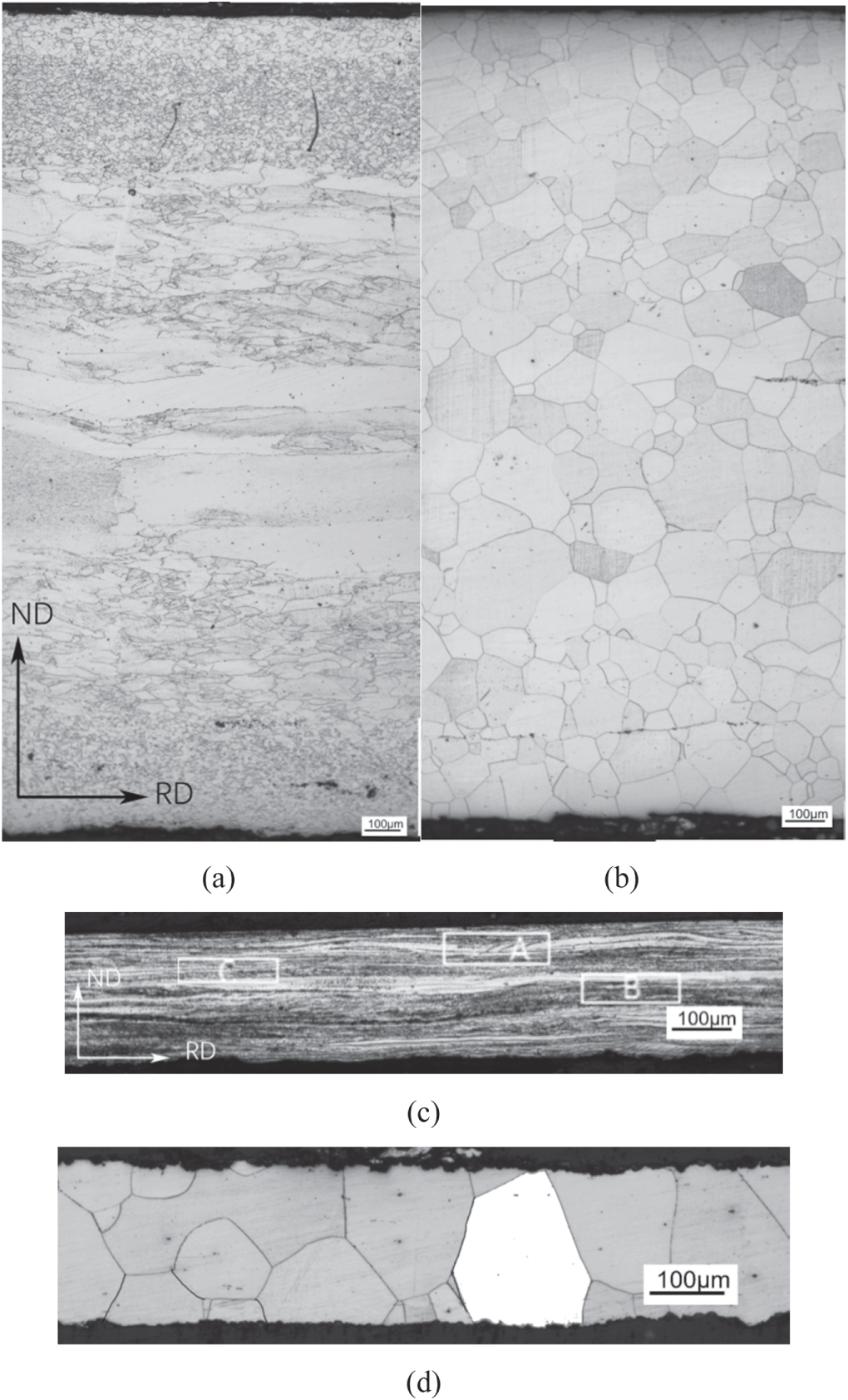 Microstructure and texture evolution of ultra-thin high grade non ...