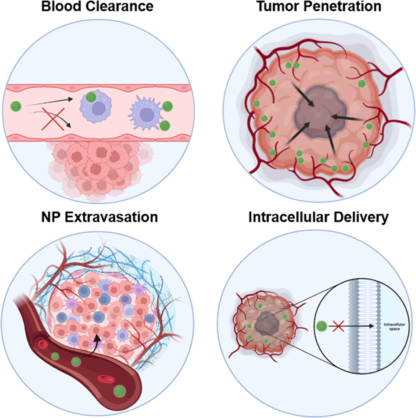 Recent advances in nano/micro systems for improved circulation ...