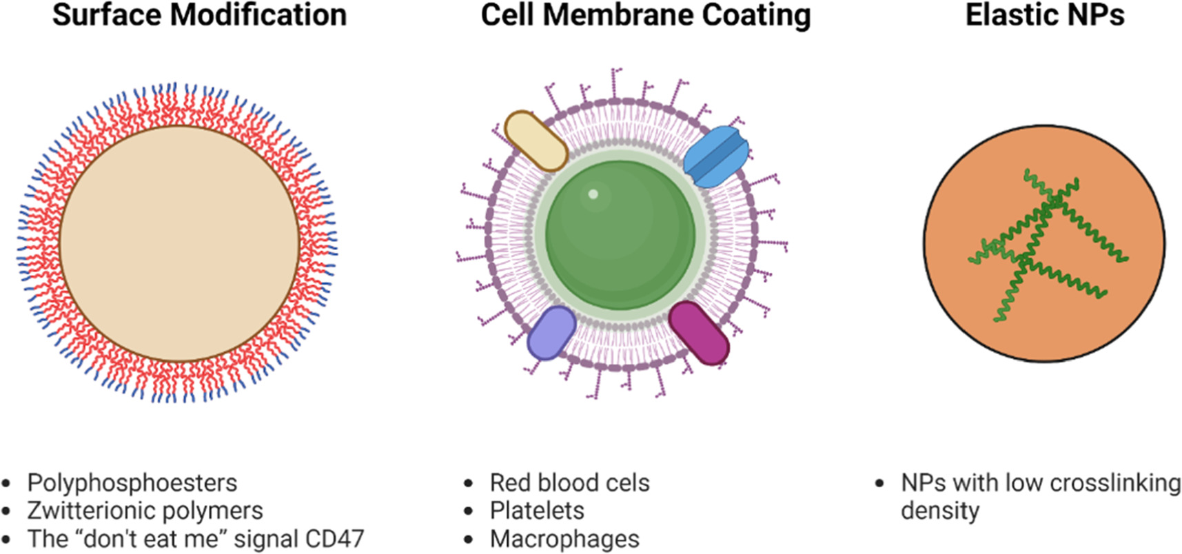 Recent advances in nano/micro systems for improved circulation ...