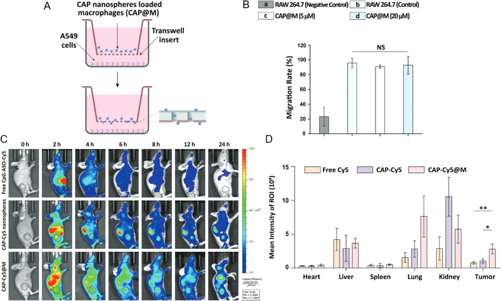 Recent advances in nano/micro systems for improved circulation ...