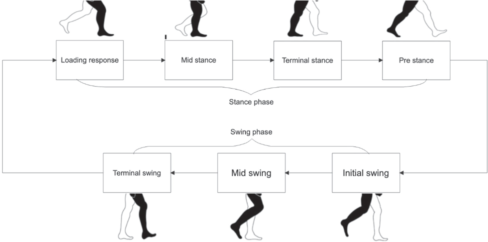 Comparative performance of machine learning models for the ...