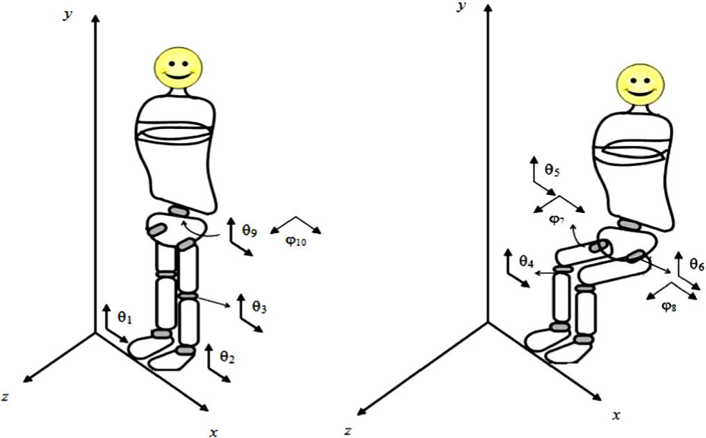 Decoupled optimal control of 3D biped for human voluntary motion ...