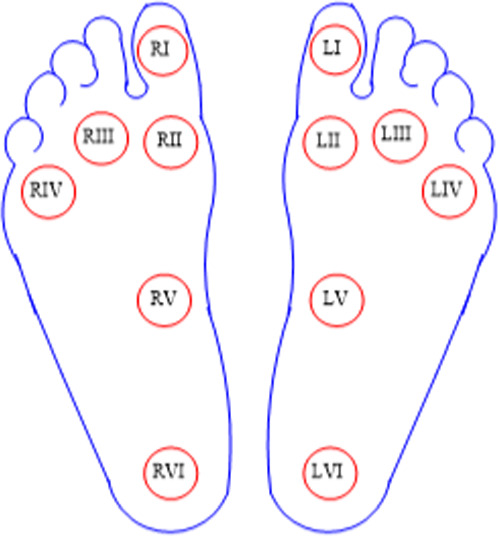 Automated prediction of diabetes mellitus using infrared thermal foot ...