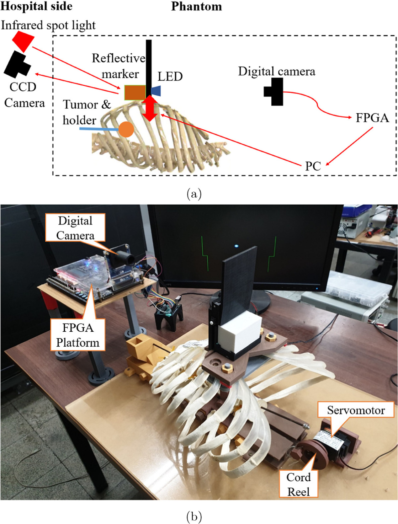 A 3D-printed phantom for stereotactic body radiation therapy simulation - IOPscience