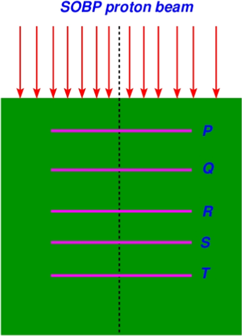Calculation of biological effectiveness of SOBP proton beams: a TOPAS ...