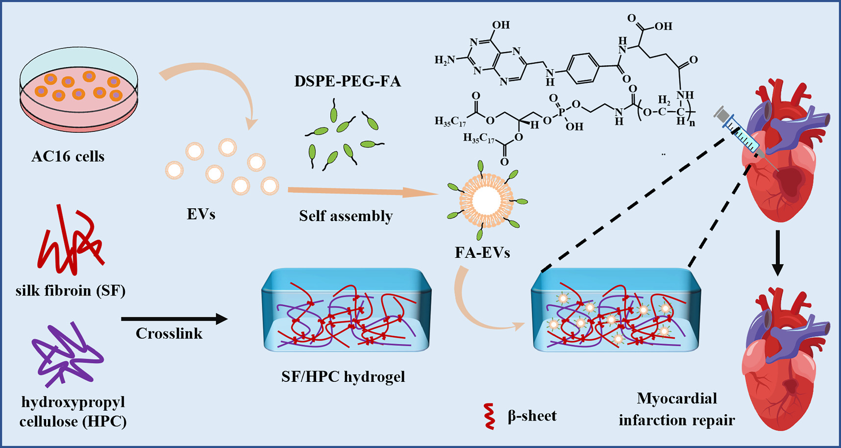 Silk fibroin and hydroxypropyl cellulose composite injectable hydrogel ...