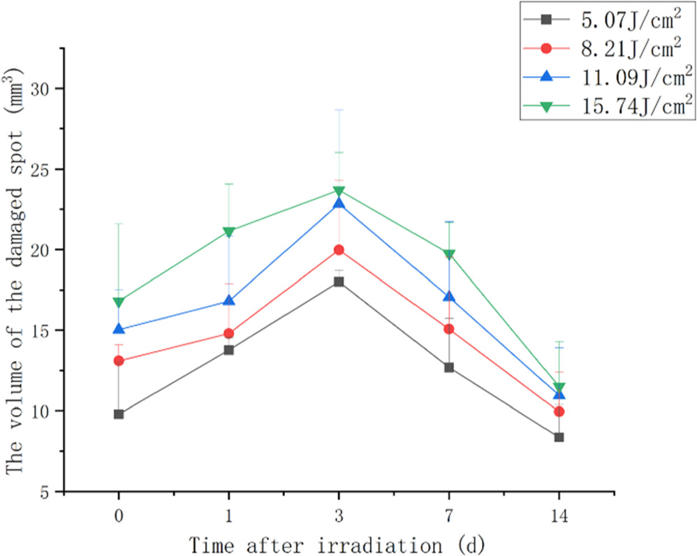 Segmentation and quantitative analysis of optical coherence tomography ...