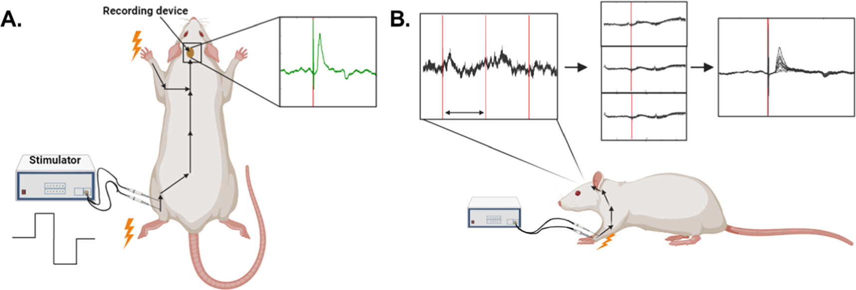 Development of a novel, concentric micro-ECoG array enabling ...
