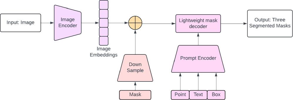 Lung segment anything model (LuSAM): a decoupled prompt-integrated framework for automated lung ...