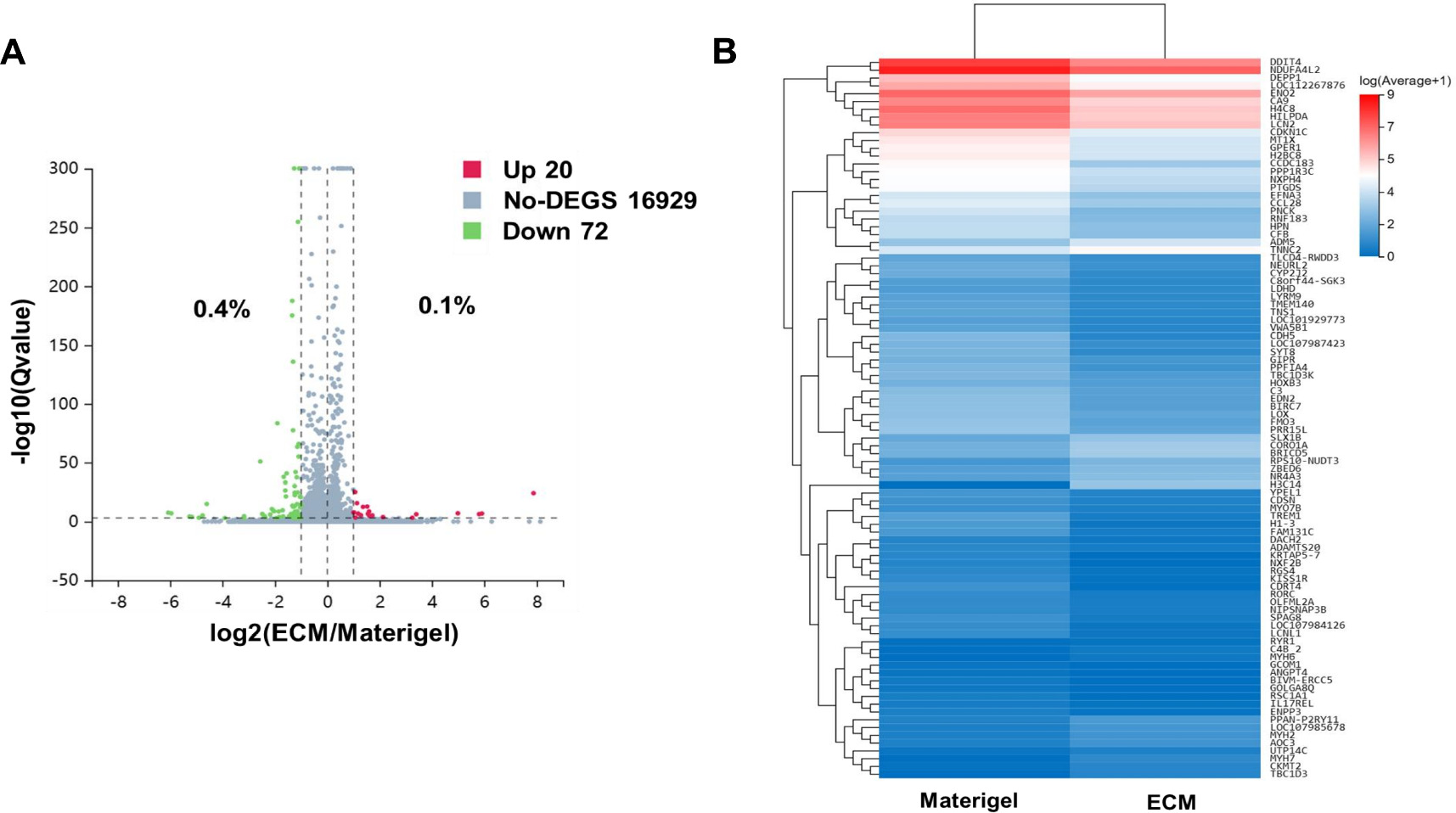Pig-derived ECM-SIS provides a novel matrix gel for tumor modeling ...