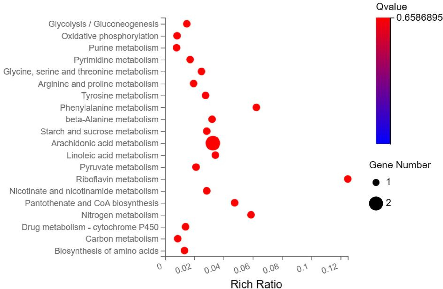 Pig-derived ECM-SIS provides a novel matrix gel for tumor modeling ...