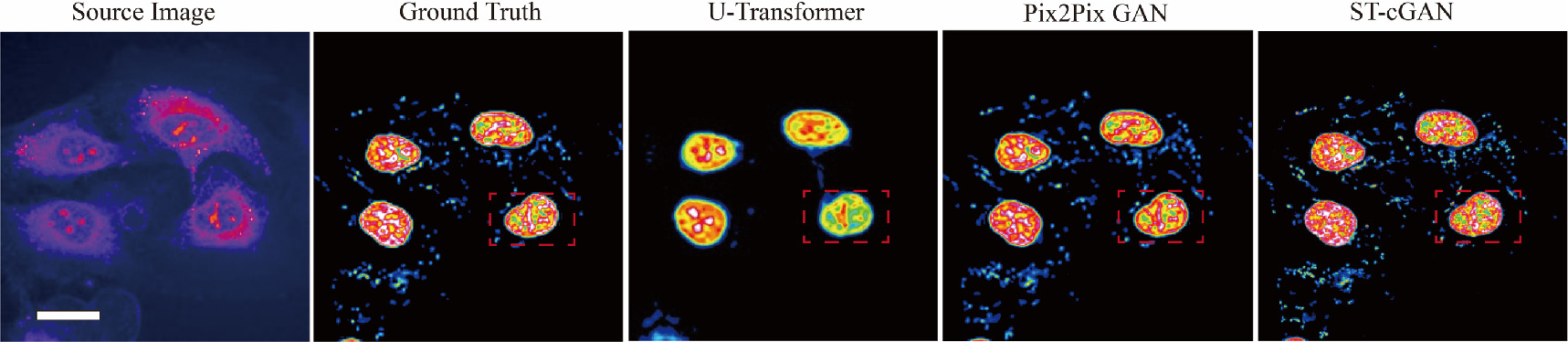 Architectural order identification across label-free living cell ...