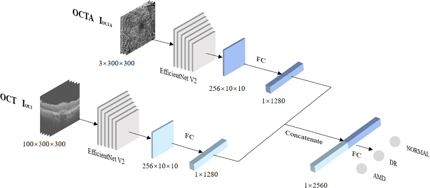 Multi-modal classification of retinal disease based on convolutional ...