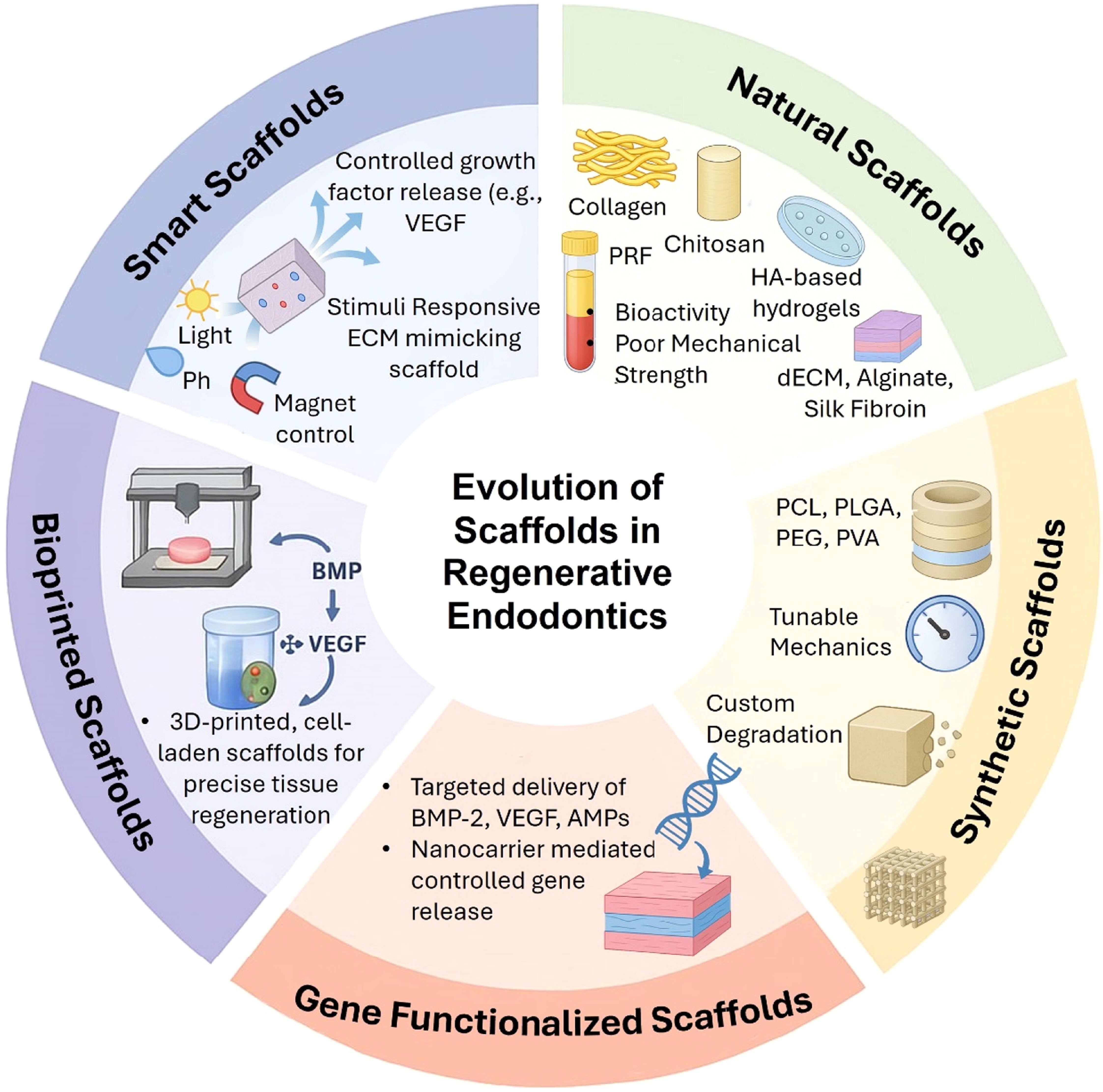 Biomaterials to biofabrication: advanced scaffold technologies for ...