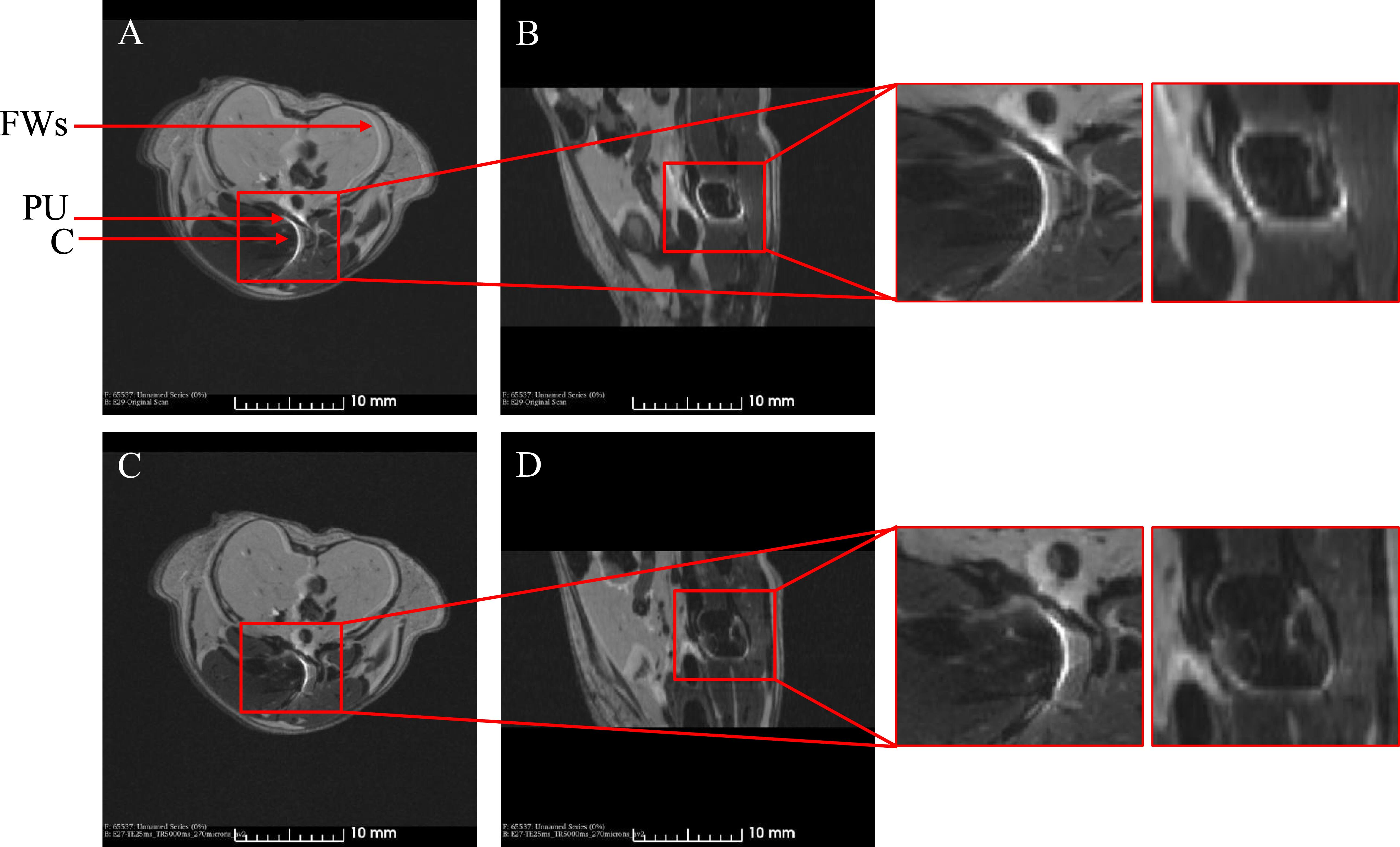 Preclinical magnetic resonance imaging in the presence of Alpha-DaRT ...