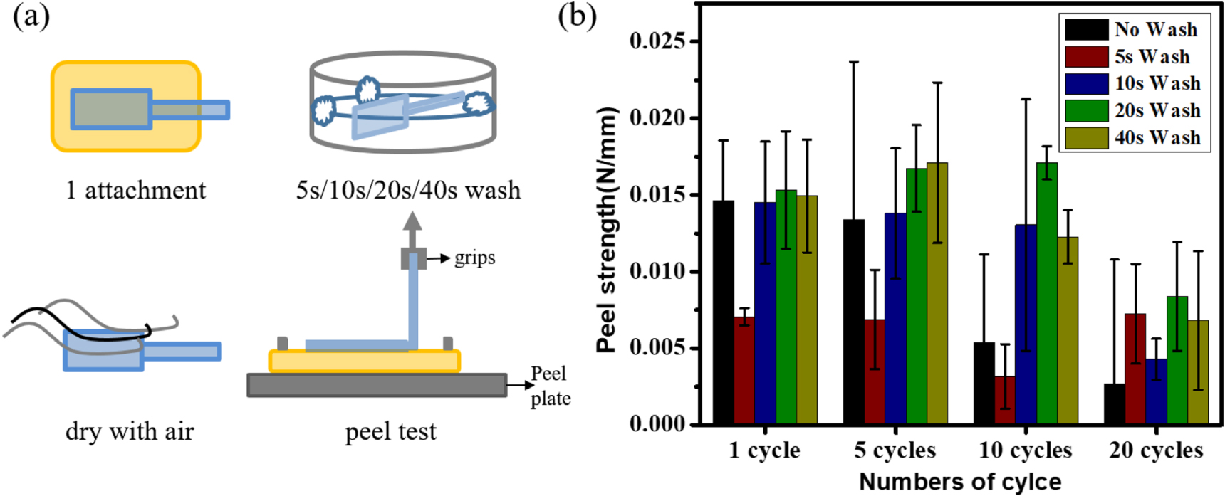 Silicone-based adhesives for long-term skin application: cleaning ...