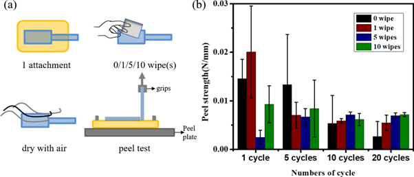 Silicone-based adhesives for long-term skin application: cleaning ...