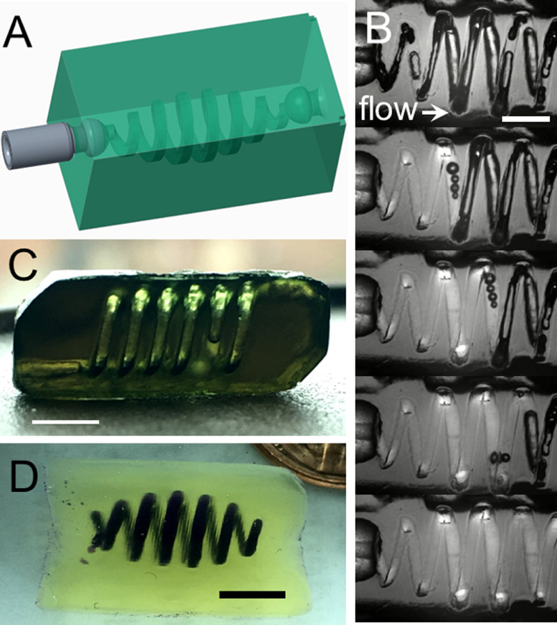 Light-based 3D printing of hydrogels with high-resolution channels ...