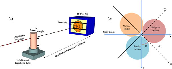 SAXS-CT: a nanostructure resolving microscopy for macroscopic biologic ...
