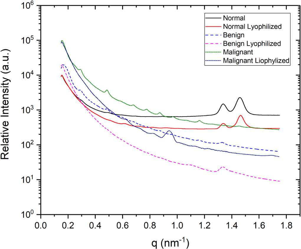 SAXS-CT: a nanostructure resolving microscopy for macroscopic biologic ...