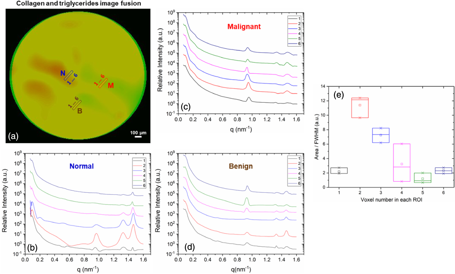 SAXS-CT: a nanostructure resolving microscopy for macroscopic biologic ...