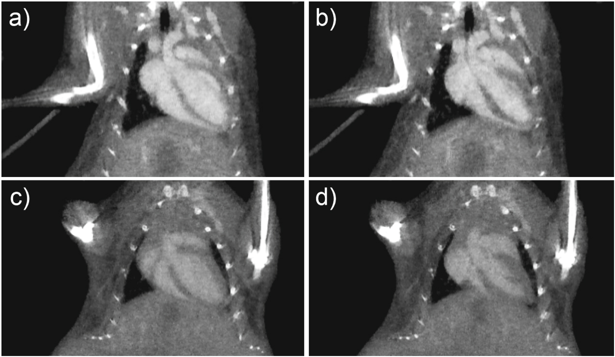 Time-course study of a gold nanoparticle contrast agent for cardiac ...