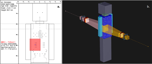 Development of an age-scalable 3D computational phantom in DICOM ...