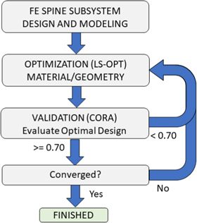 Development of a finite element biomechanical whole spine model for ...