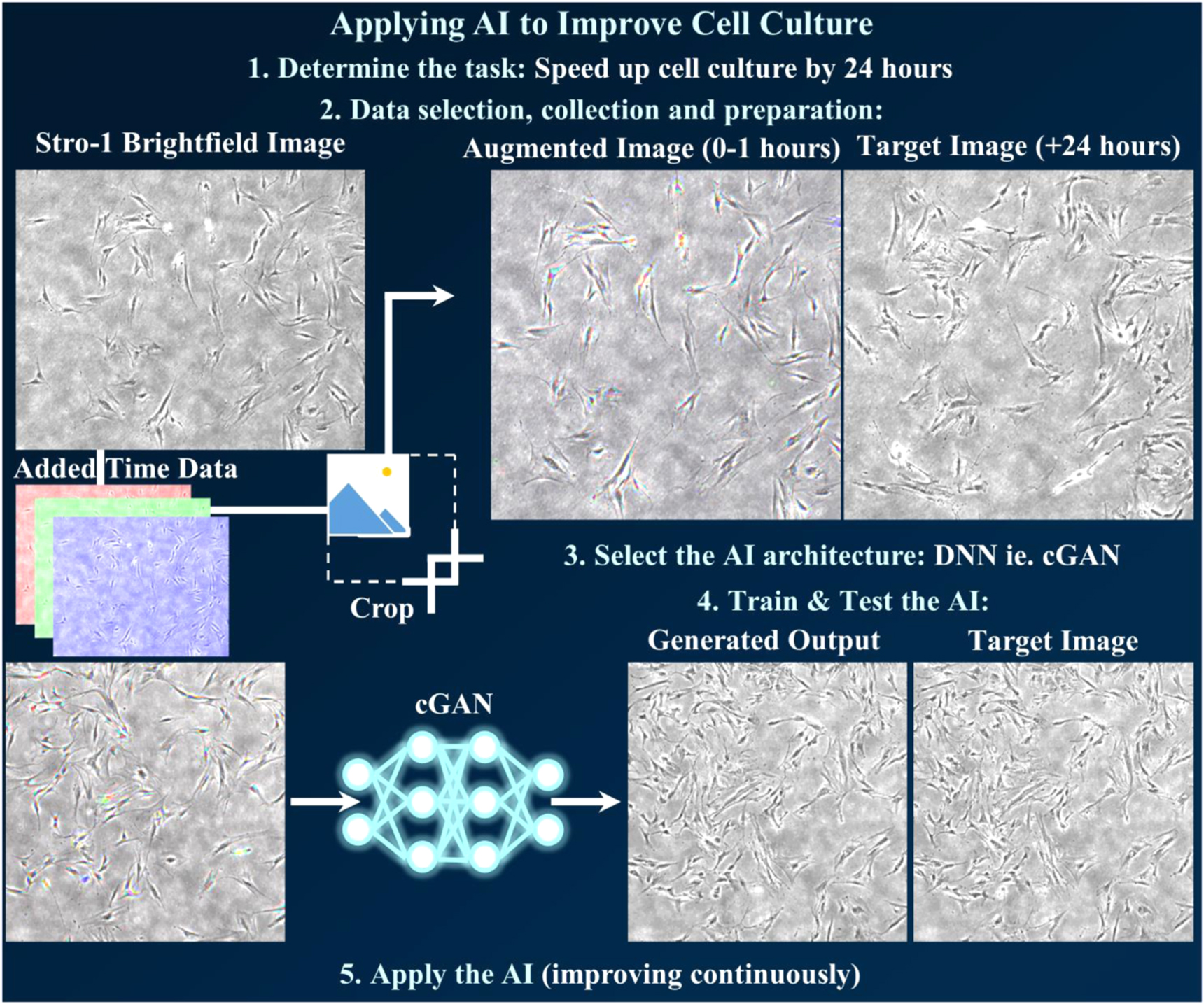 The future of bone regeneration: integrating AI into tissue engineering ...