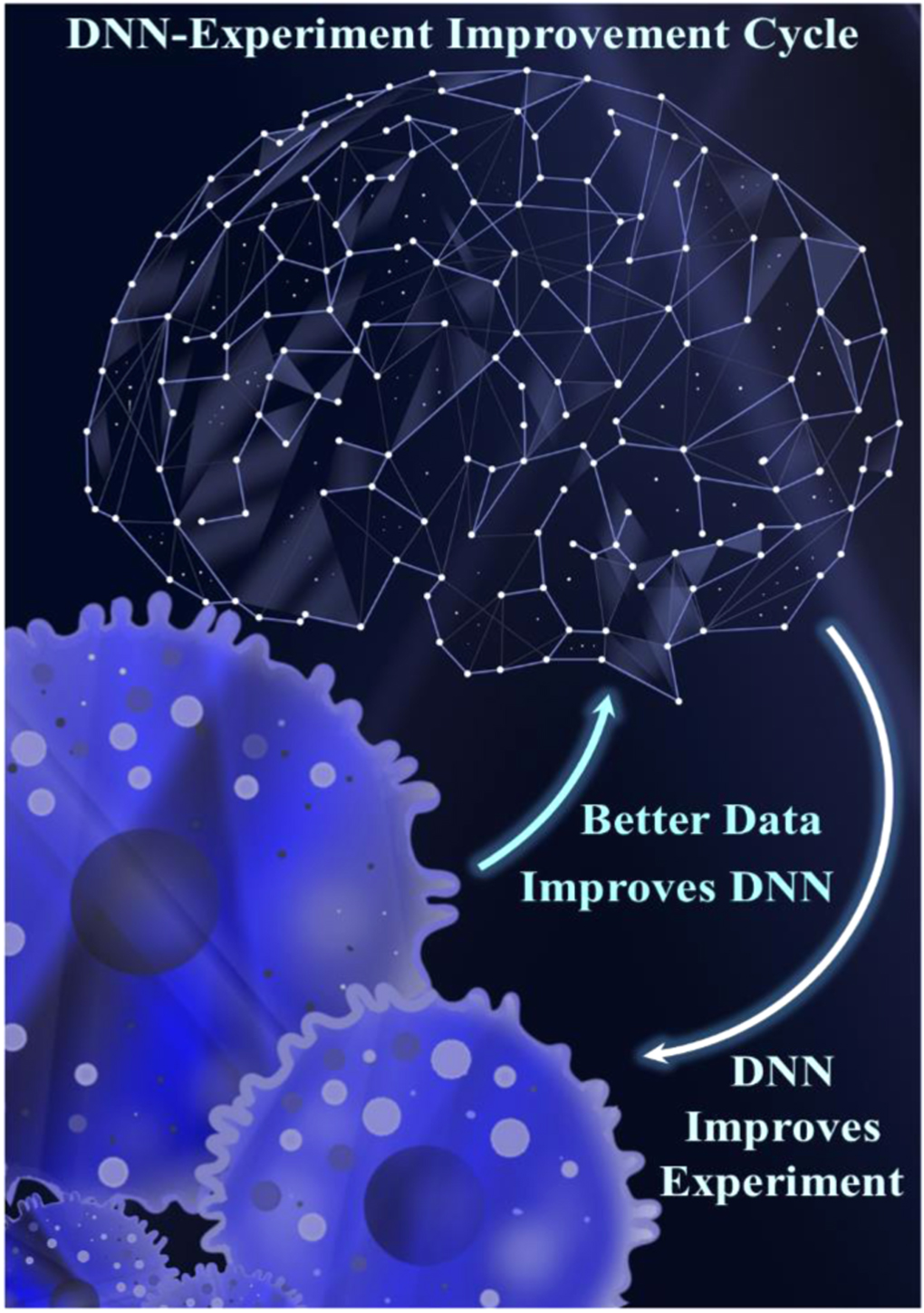 The future of bone regeneration: integrating AI into tissue engineering ...