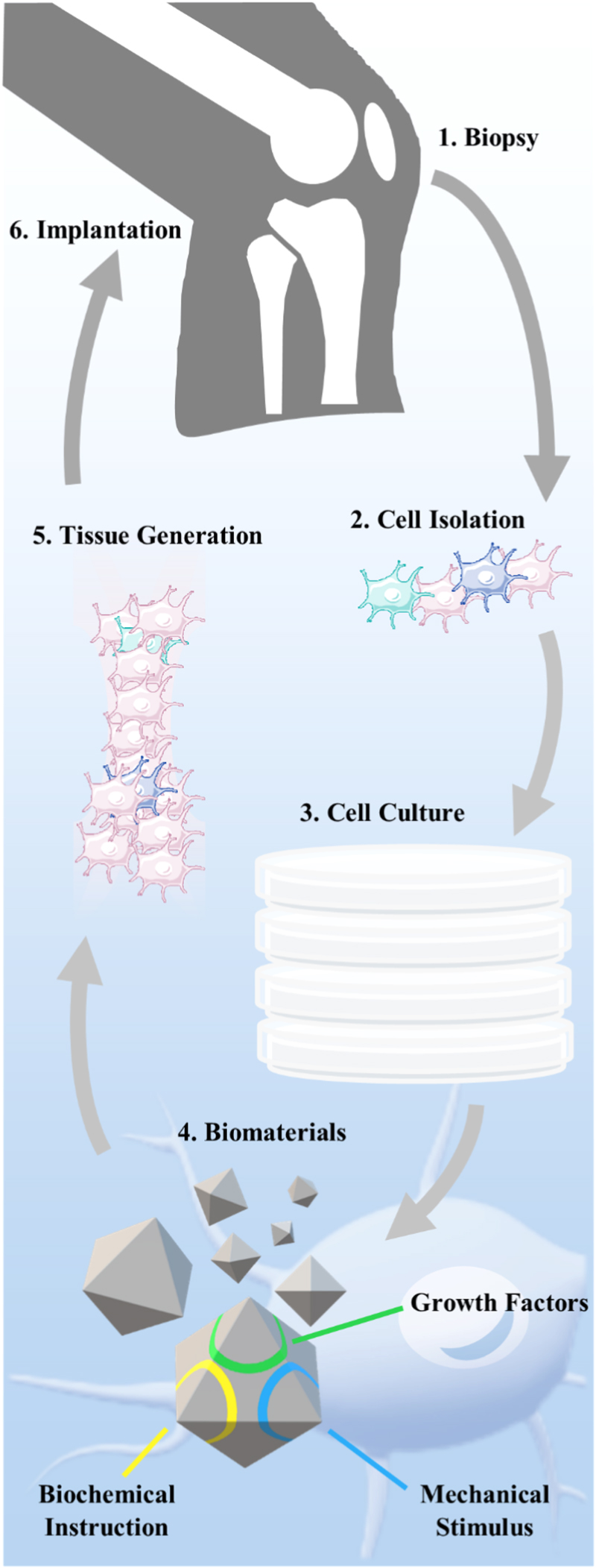 The future of bone regeneration: integrating AI into tissue engineering ...